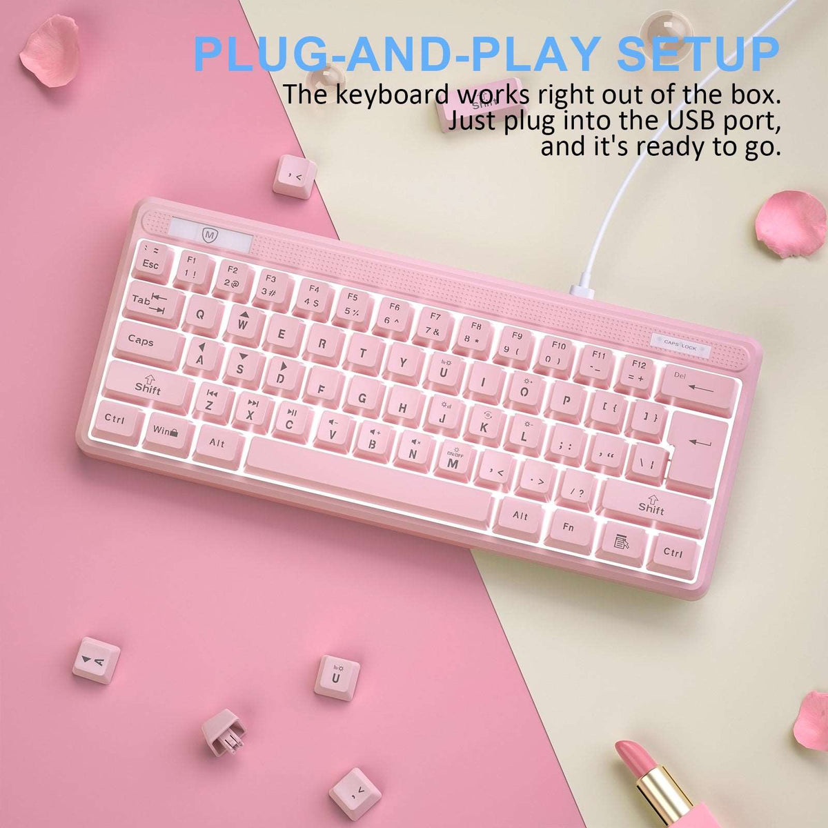 Mini Backlit Wired Keyboard for Computer AK-100 – Micropack