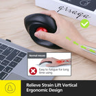 Ergonomic Vertical 2.4G USB Wireless Trackball Mouse for Computer MP ...